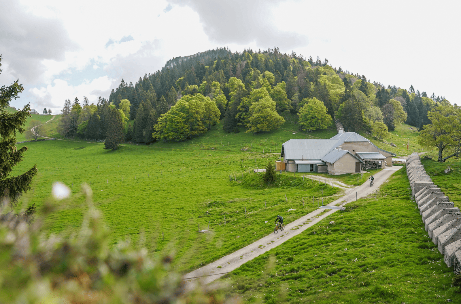 Una mirada retrospectiva al Jura Bike Maratón - MTB ALPINE CUP